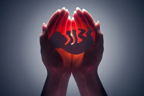 Europe : "Un de nous" dépasse les 1.885.000 signatures | Institut ...